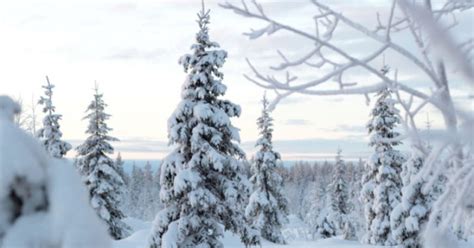 Седмичен хороскоп за периода от 13 до 19 януари Скорпион Седмицата ще ви даде успех в бизнеса