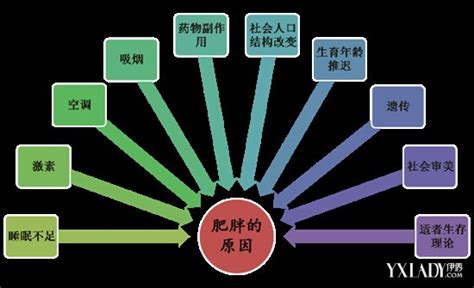 图肥胖原因图解 哪些饮食习惯是导致肥胖的原因 肥胖原因图解 伊秀美体网 yxlady