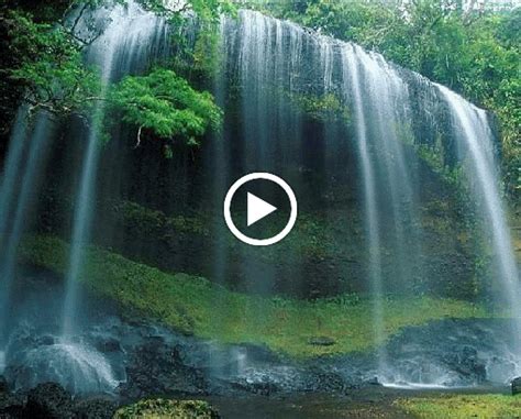 Gambar Bergerak Sex Weschallenge