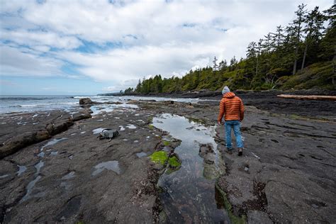 Mystic Beach On Vancouver Island Everything You Need To Know Oceanus