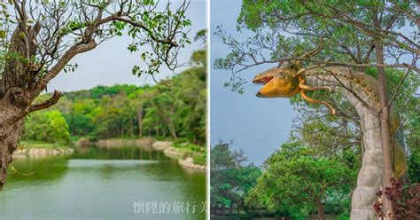 【新化景點】這樣玩虎頭埤最舒暢，看見虎頭埤最美的風景：虎頭埤風景區 懷陞足跡 從台南出發