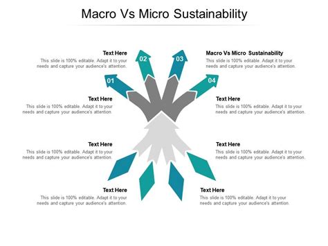 Macro Vs Micro Sustainability Ppt Powerpoint Presentation Slides Summary Cpb Presentation