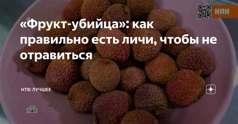 «Фрукт убийца как правильно есть личи чтобы не отравиться НТВ лучшее Дзен