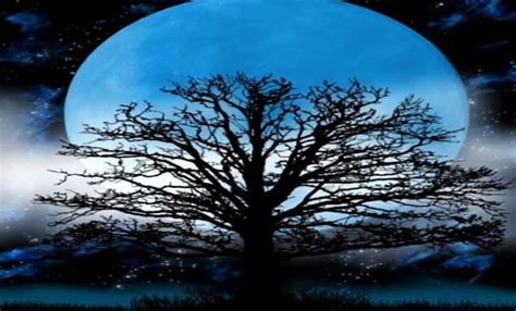 Do Excel Data Entry Data Mining Copy Paste Web Research And Web