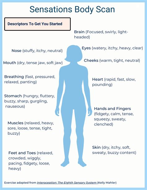 Interoception Struggles Artofit