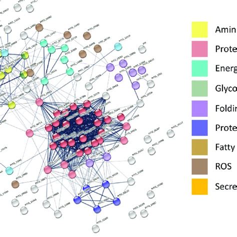 Phytophthora Infestans Peptide Based Detection In Mycelium And In Download Scientific Diagram