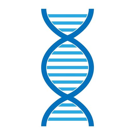 Dna 유전자의 의학 과학 꼬인 나선 구조 추상 모델 프리미엄 벡터