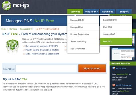 Kostenloser DynDNS Service Provider Noip Hauter De