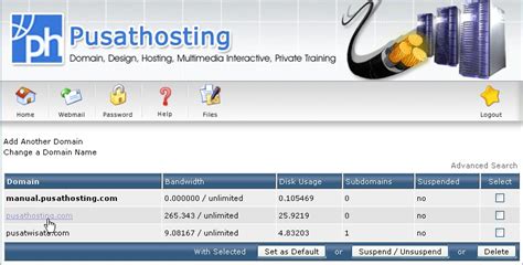 Directadmin Domain Setup Domain Add ON PusatHosting Tutorial Blog