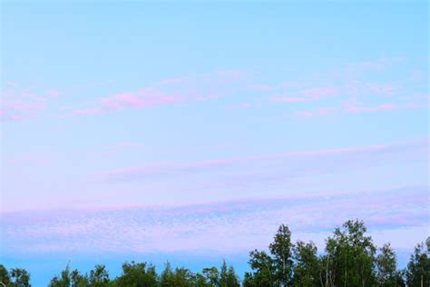 푸른 나무 위에 밝은 푸른 하늘과 분홍색과 자주색 구름이있는 자연 장면 선택적 초점과 복사 공간이 있는 배경 0명에 대한 스톡 사진 및 기타 이미지 Istock