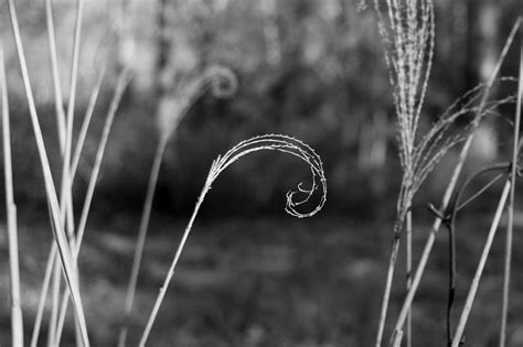 David Lanning On Behance