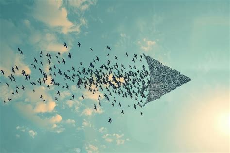 premium photo birds flying in arrow shape symbolize teamwork and progress
