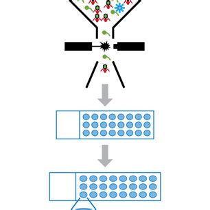 Lambda Genome Attributes And Coverage A GC Plot B Genome Map Of Download Scientific Diagram