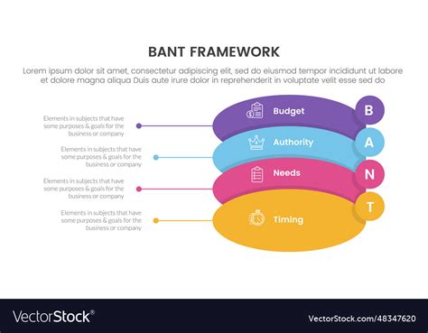 Bant Sales Framework Methodology Infographic Vector Image