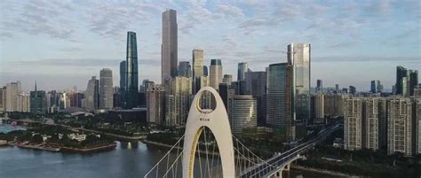 权威访谈 ⑤丨王微完善社会主义市场经济体制为改革提供强大理论思想指南 新发展 政府 作用