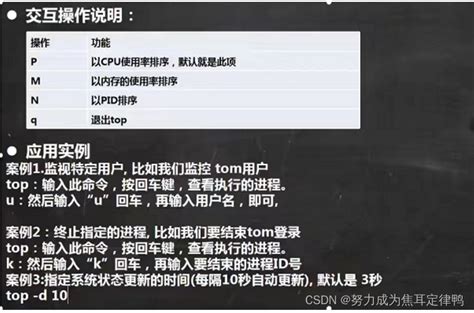 linux：动态监控进程 监控网络状态 linux 运行一个监控程序 监控另一个程序是否退出 csdn博客