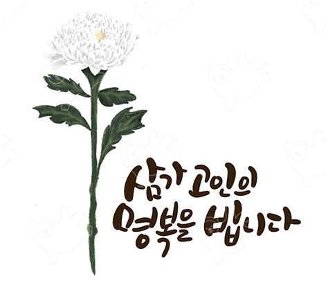 명복을 빕니다 손글씨아줌씨 네이버 Ogq마켓