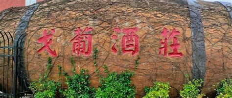 南充人的葡萄酒戈葡 仪陇县 徐进 新疆
