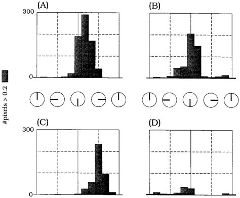 Comparison Of The Fmri Responses Within Dorsal And Ventral Areas To The