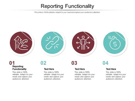 Reporting Functionality Ppt Powerpoint Presentation Infographic Template Inspiration Cpb