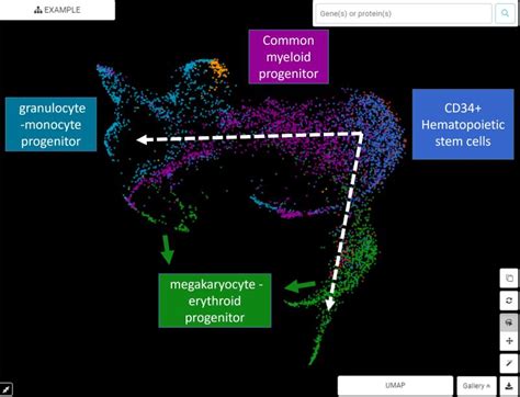 bioturing on linkedin single cell rna seq trajectory analysis review