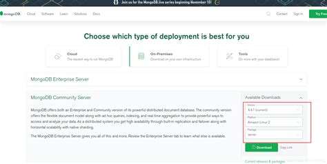 Linux系统下mongodb安装及mongdb启动出错问题解决和robo3t安装robo 3t Linux安装包 Csdn博客