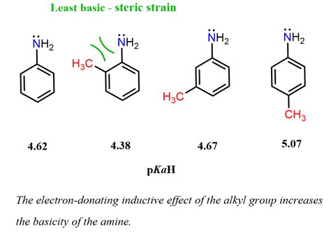 Basicity Of Amines Chemistry Steps