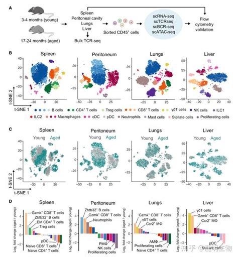 免疫学一区顶刊：质谱流式单细胞蛋白组学揭示免疫衰老保守标志物 知乎