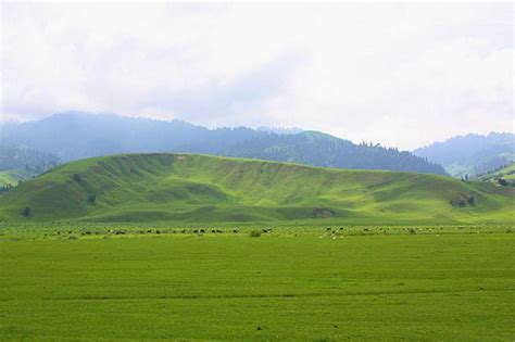 5 Inspiring Tangible Cultural Heritage Examples From Around The World Knowledge And Science