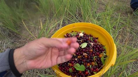 Что такое грэпплинг? - YouTube