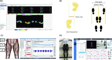 These Figures Show The Evaluation Method A Stride Width Was Measured