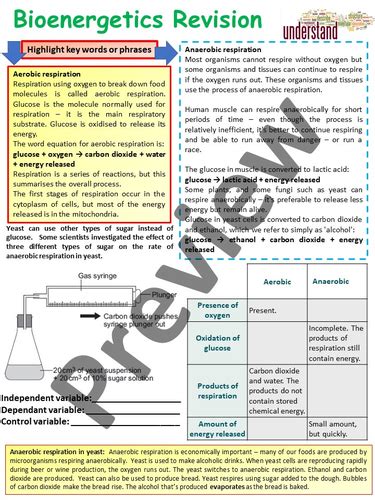 Aqa 1 9 Gcse Biology Science Bioenergetics Work Booklet And Revision