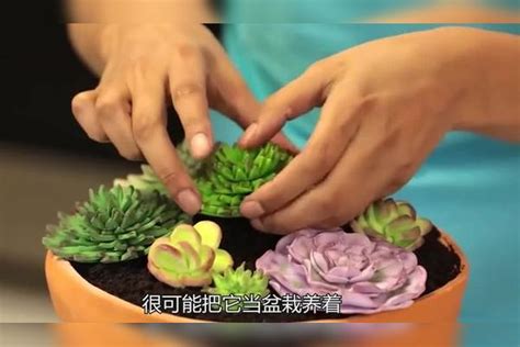 新冠病毒蛋糕你敢吃吗盘点全网最奇葩的蛋糕造型ins爆款 蛋糕 盘点 奇葩