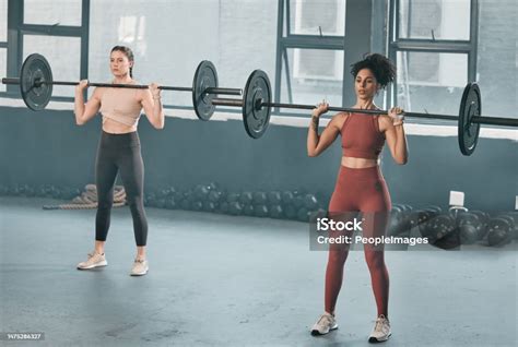 체육관 바벨 운동 및 근육 피트니스 성능 운동 또는 보디 빌딩을하는 다양성 여성 강한 소녀 건강 생활 습관 및 근력 운동 선수 사람 또는 보디 빌더 역도 우정에 대한 스톡