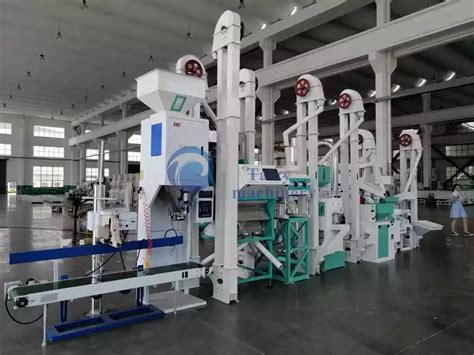 15tpd Popular Rice Processing Line Plus Color Sorting And Packaging
