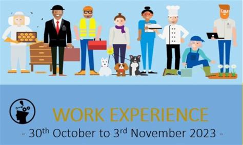 Chaucer School Work Experience