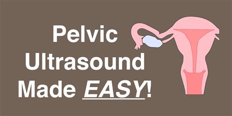 Polycystic Ovaries Ultrasound Signs Pocus 101