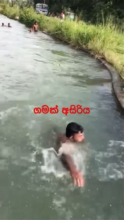 නාන්න යමුද 👍👍 Youtube