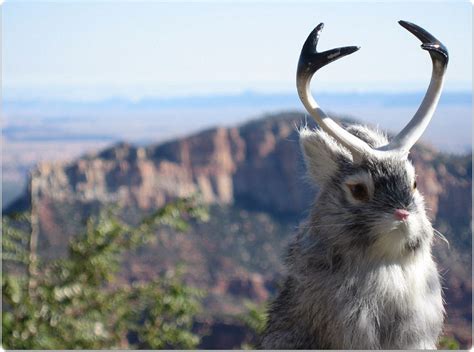 Transaction Logging And Recovery Part 3 Sqlservercentral