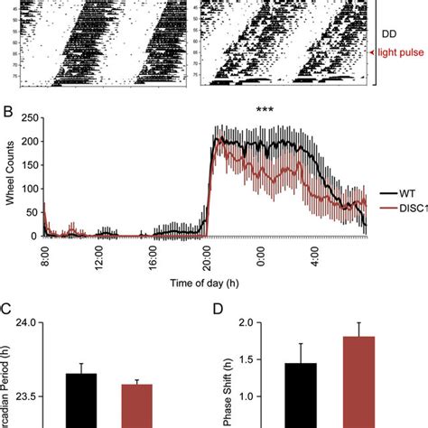 Generation Of A Transgenic Model Expressing Full Length Human Disc1 Download Scientific Diagram