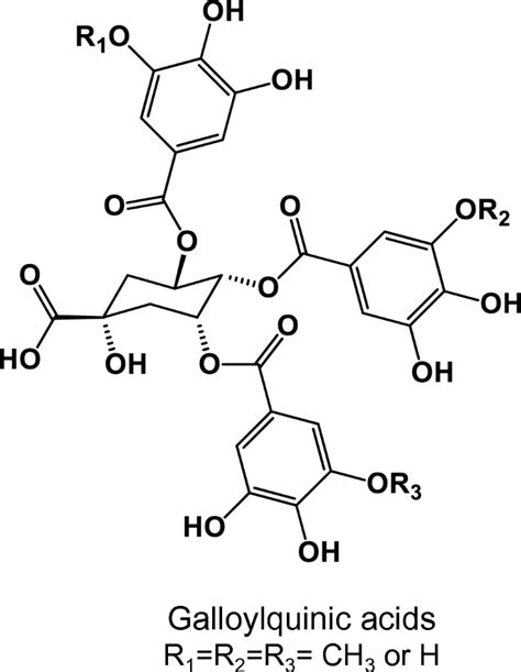Suppression Of Vegf And Inflammatory Cytokines Modulation Of Annexin