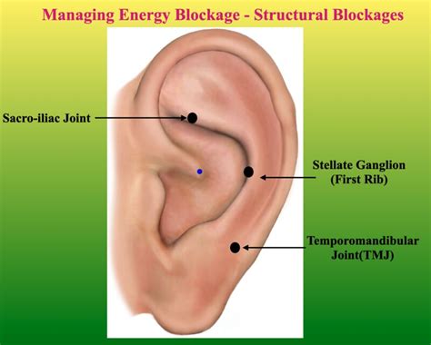 Kia Law On Linkedin Alessandro Ferullo Angus Craig Wood Alex Hughes Tessa T Nick Blanchard…