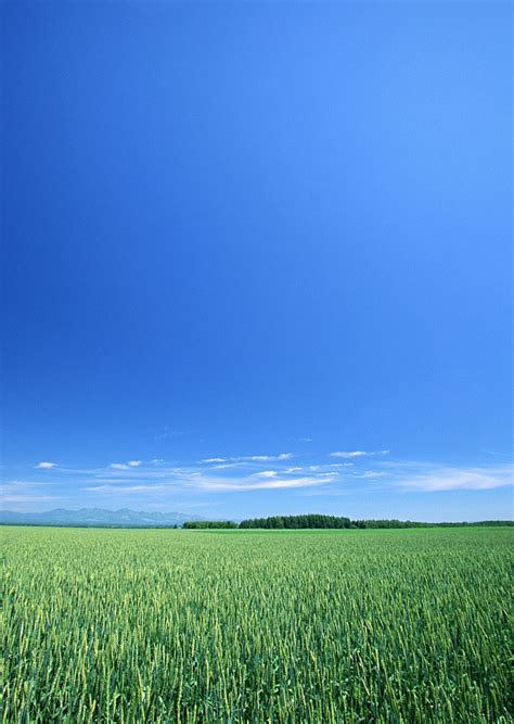 蓝天白云 天 云 天空 蓝天白云 蓝天 白云 白云蓝天 云朵 云彩 天空背景 晴天 晴空 晴空万里 碧海蓝天 阳光 云海 自然 户外 蓝色 休闲 背景 风景 摄影 高清 湖 湖水 湖面 草地