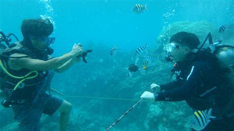 사이판 체험 스쿠버 다이빙