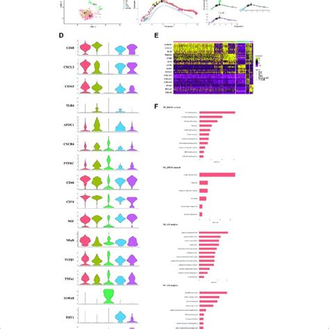 Single Cell Rna Sequencing Revealed Transcriptional Features Of Npc