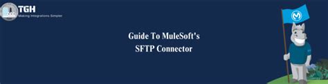 Guide To Mulesofts Sftp Connector Tgh