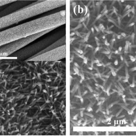 A SEM Images Of The TiO2 NWs B SEM Images Of The TiO2 2 Al2O3 NWs Download Scientific