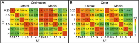 Figures And Data In Spatial Frequency Representation In V2 And V4 Of