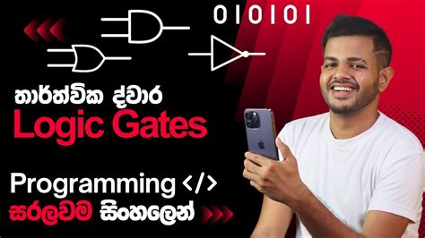Logic Gates In Programming සරලව සිංහලෙන් Programming Concepts Youtube