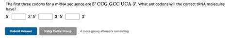 Solved The First Three Codons For A Mrna Sequence Are 5 Ccg